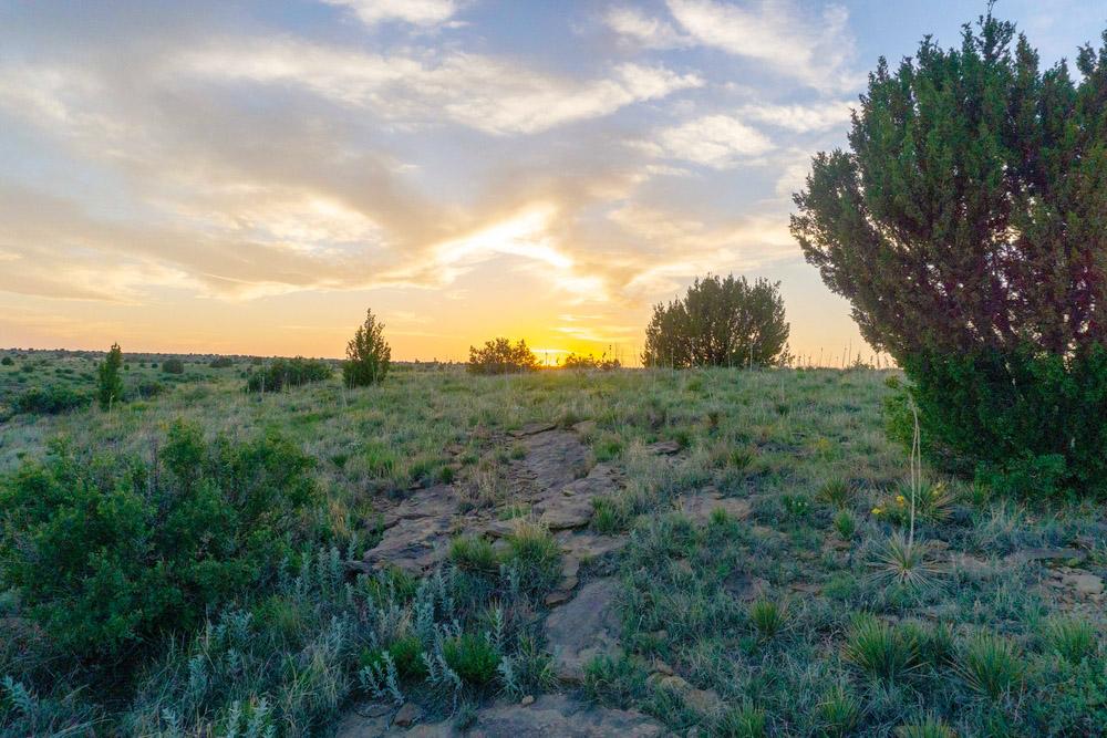 Campground Details - Black Mesa State Park, OK - Oklahoma State Parks