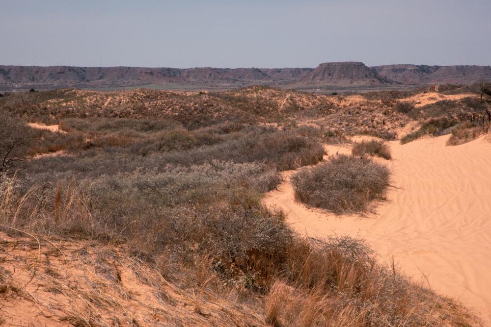 Facility Details - Little Sahara State Park, OK - Oklahoma State Parks