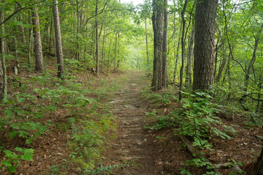 Campground Details - Talimena State Park, OK - Oklahoma State Parks